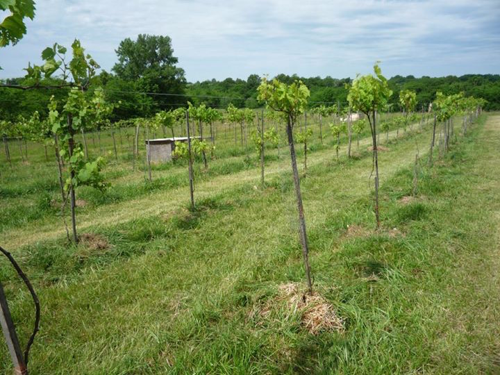 The Flouch - Tiny House Blog