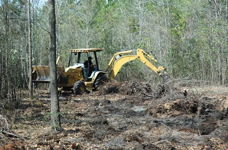 The Art of Clearing Land For Your Tiny House - Tiny House Blog