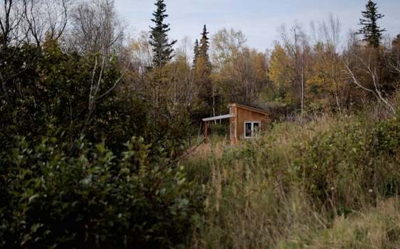 6’7″ Man’s Peaceful, Simple Tiny House Life in Alaska - Tiny House Blog