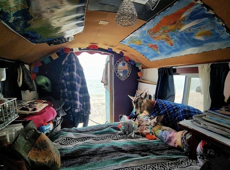 Vardo Wagon Tiny Home with Kate and her Goat - Tiny House Blog
