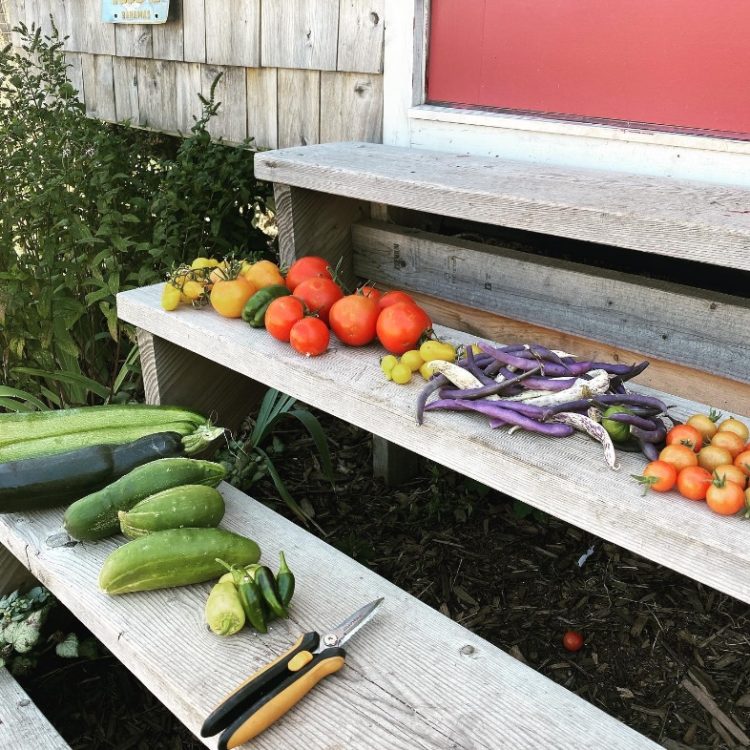 Tiny House on a Farm - Tiny House Blog