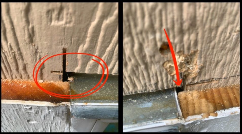 Lovely Tiny House, Big Problems: Buyer Beware Advice - Tiny House Blog